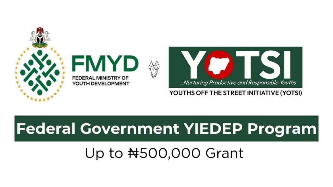 Federal Government YIEDEP Program 2025 (Up to ₦500,000 Grant ...